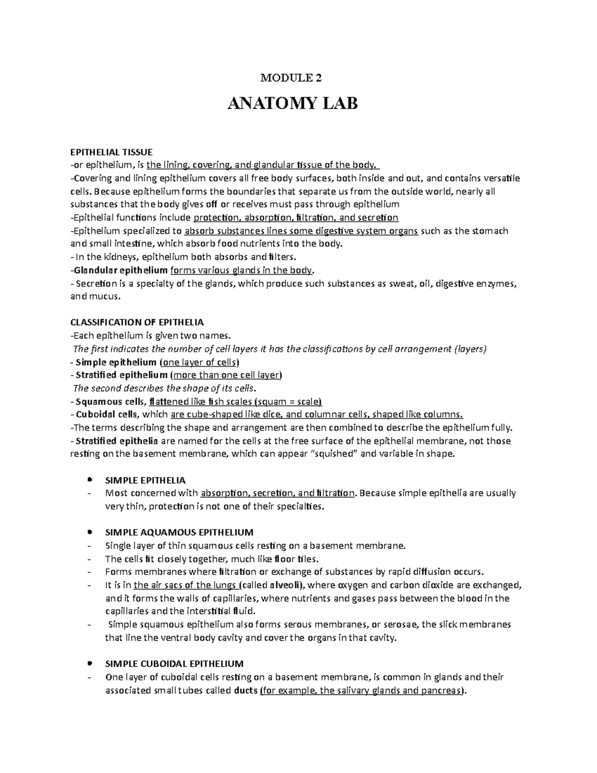 Module 2 Anatomy Lab - Epithelial Tissue - MODULE 2 ANATOMY LAB ...