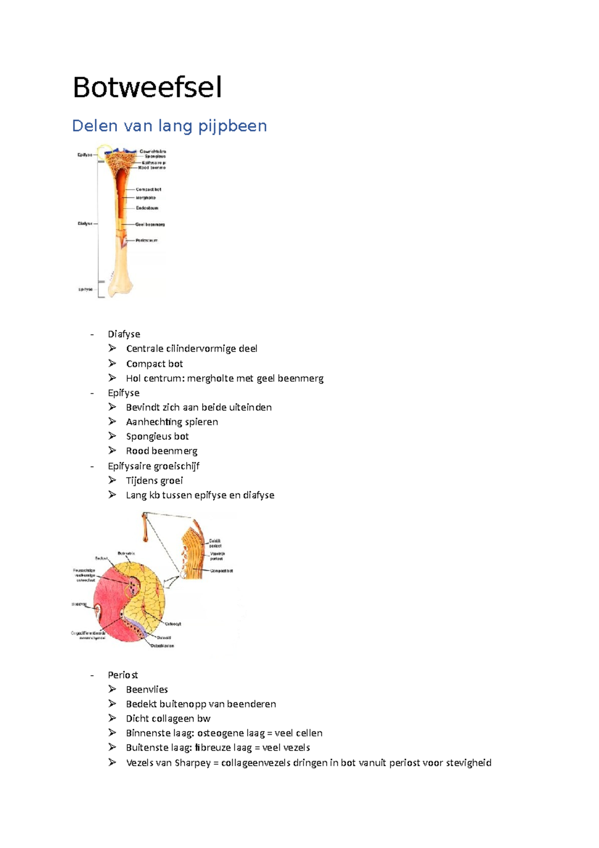 Histo H4 botweefsel - Botweefsel Delen van lang pijpbeen Diafyse ...