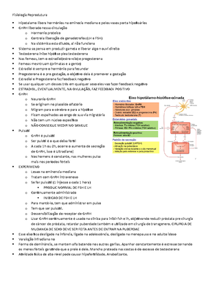 Fisiologia do sistema hematopoiético - Warning: TT: undefined function: 32 Warning: TT ...