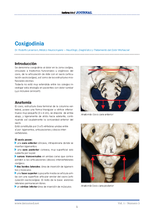 Homeopatia 2 - Antecedentes tóxicos, alérgicos y trasfusionales ...