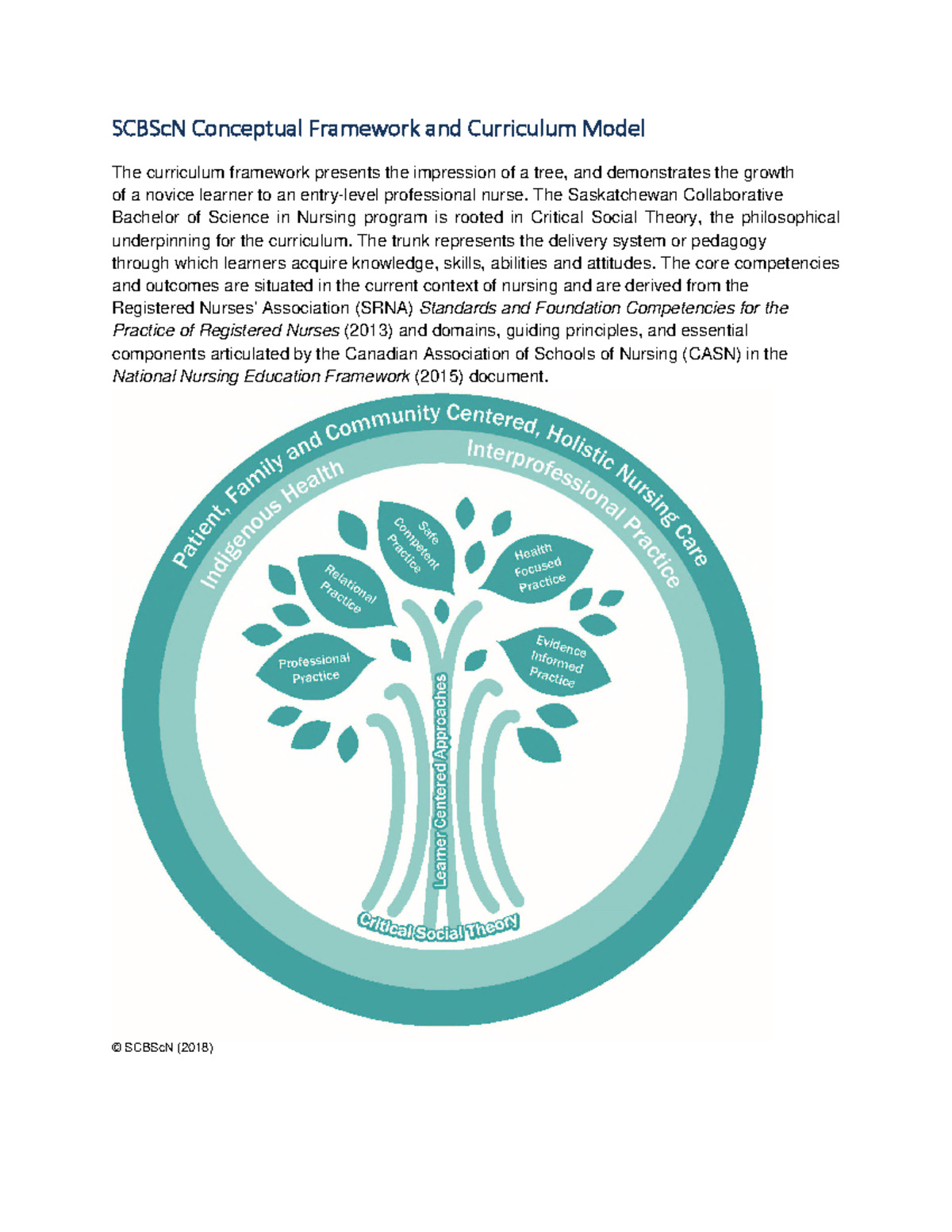 SCBSc N Curriculum Framework Tree - SCBScN Conceptual Framework and ...