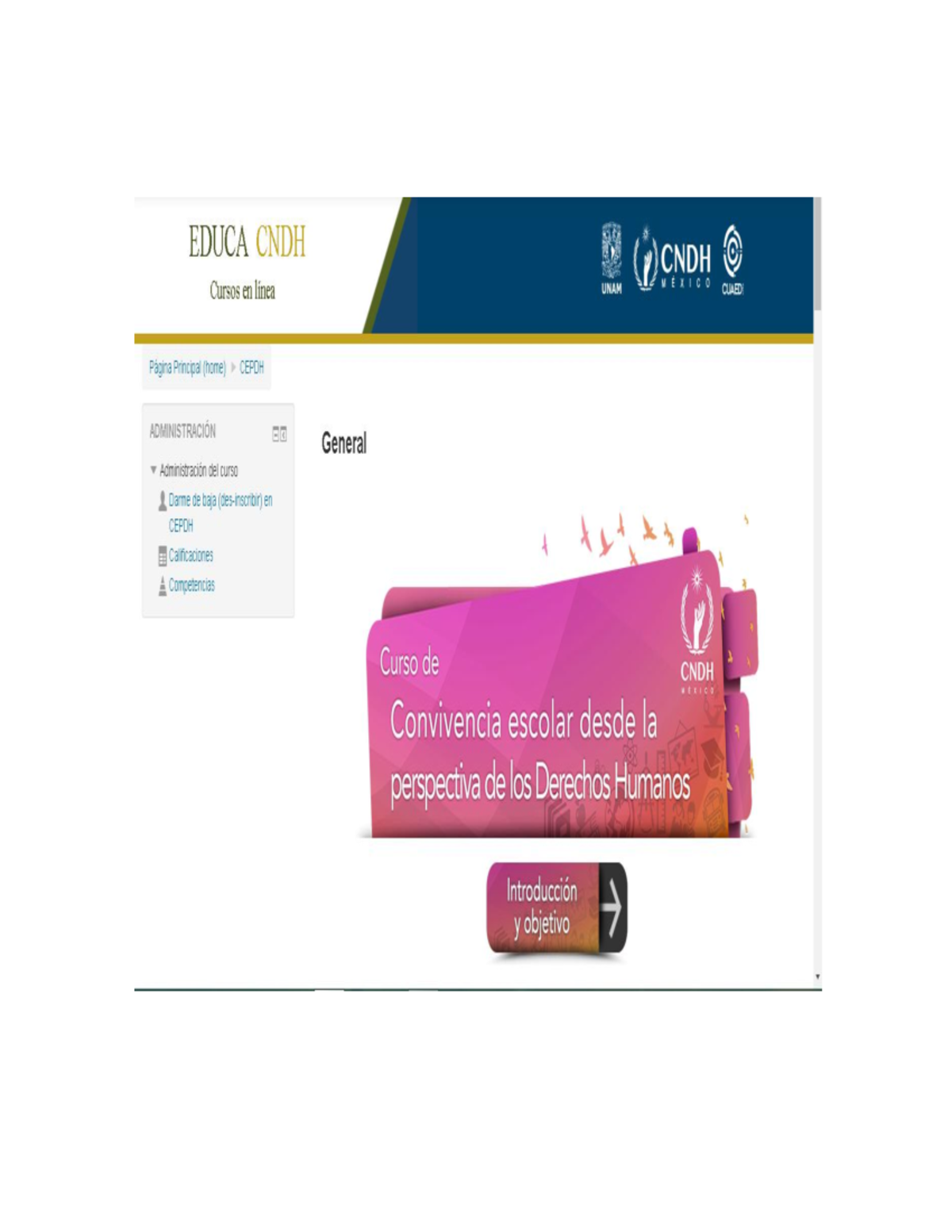 regreso de le ndfh ya por favoor ya dejen me - Su respuesta es correcta ...