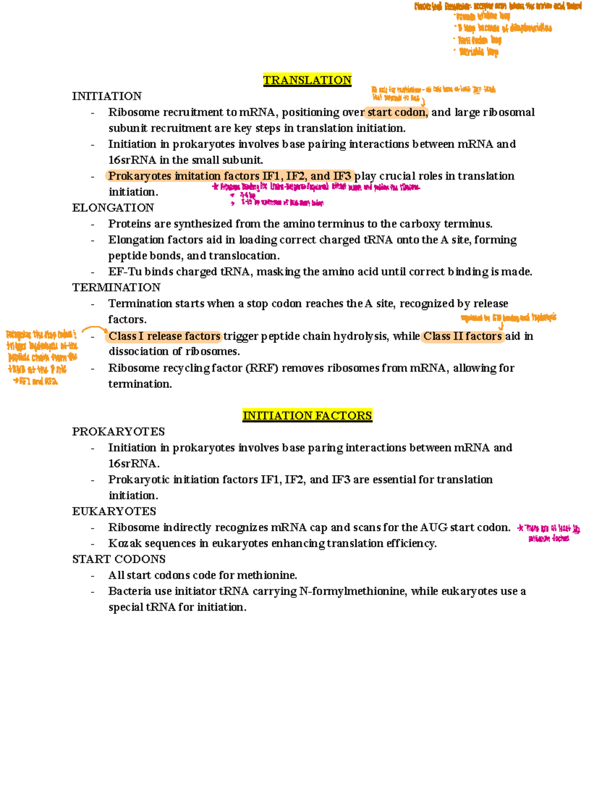 Molecular Genetics Unit 2 Summary - TRANSLATION INITIATION - Ribosome ...