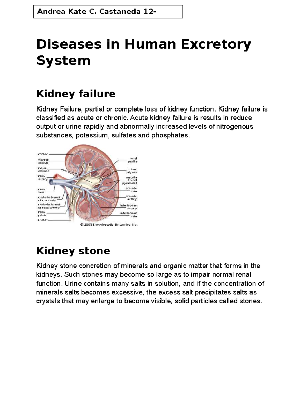 Diseases in Human Excretory System - Diseases in Human Excretory System ...