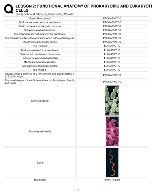 Lesson 3 Microbial Diversity - Study online at quizlet/_c96oec Cell ...