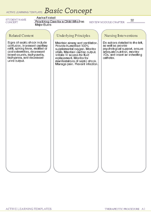 Basic Concept form (19) - STUDENT NAME CONCEPT REVIEW MODULE CHAPTER ...