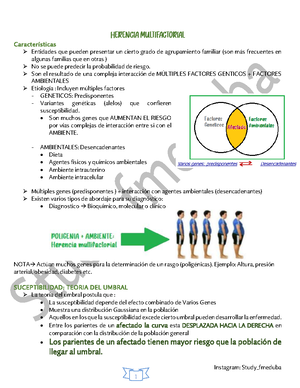 Alteraciones Cromosómicas - ALTERACIONES CROMOSÓMICAS GENERALIDADES Son ...
