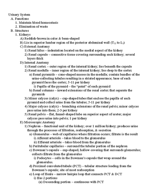 101-100eafb6e10ac22-Respiratory System Notes - Respiratory System A ...