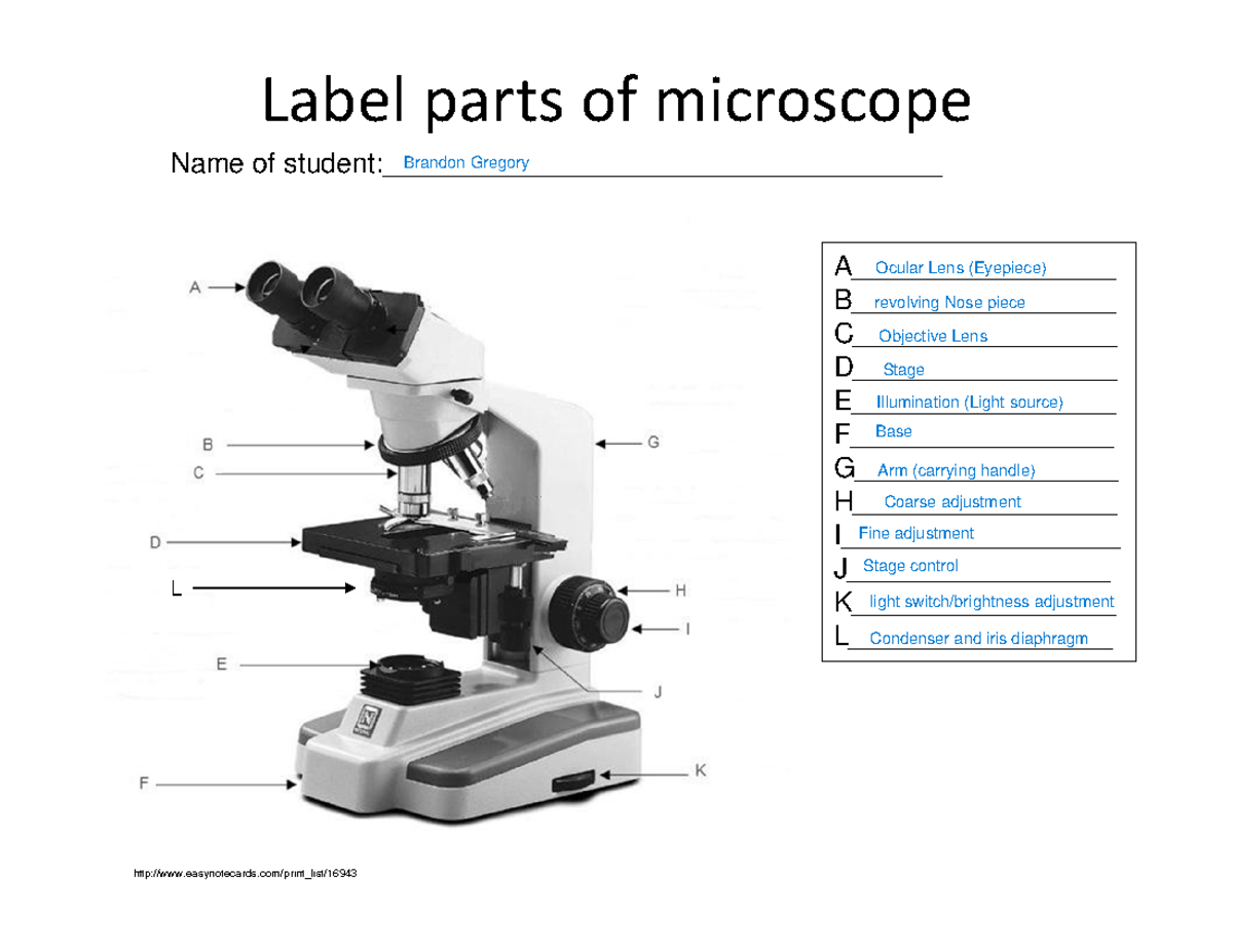 Label parts Microscope v10b - Label parts of microscope Name of - Studocu