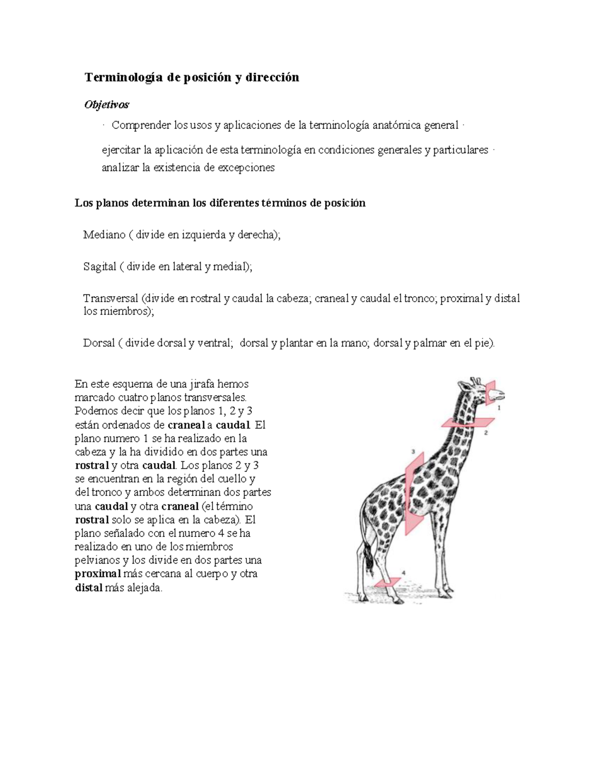 Guia terminologia - Terminología de posición y dirección Objetivos ∙ ...