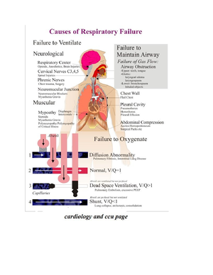 Nurse Narrative Charting Example - DAILY ASSESSMENT CHARTING EXAMPLE ...