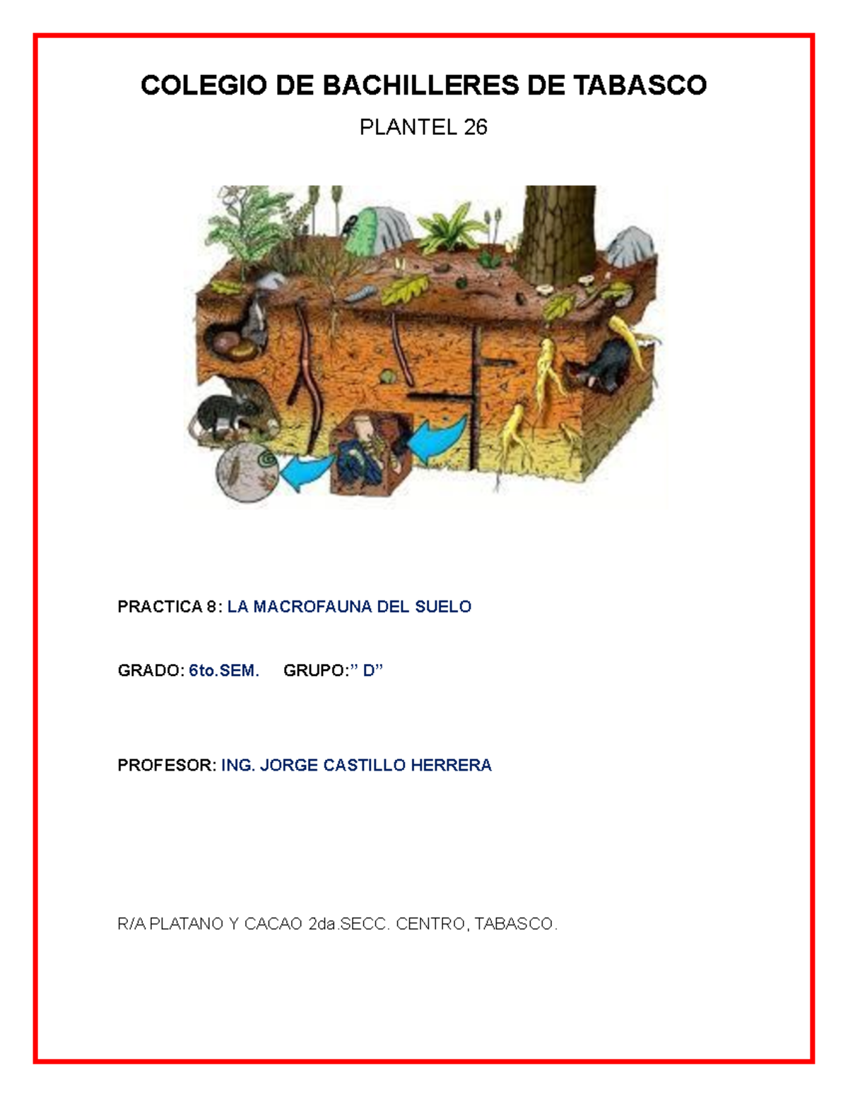 Practica 8. Ecologia Y Medio Ambiente - COLEGIO DE BACHILLERES DE ...