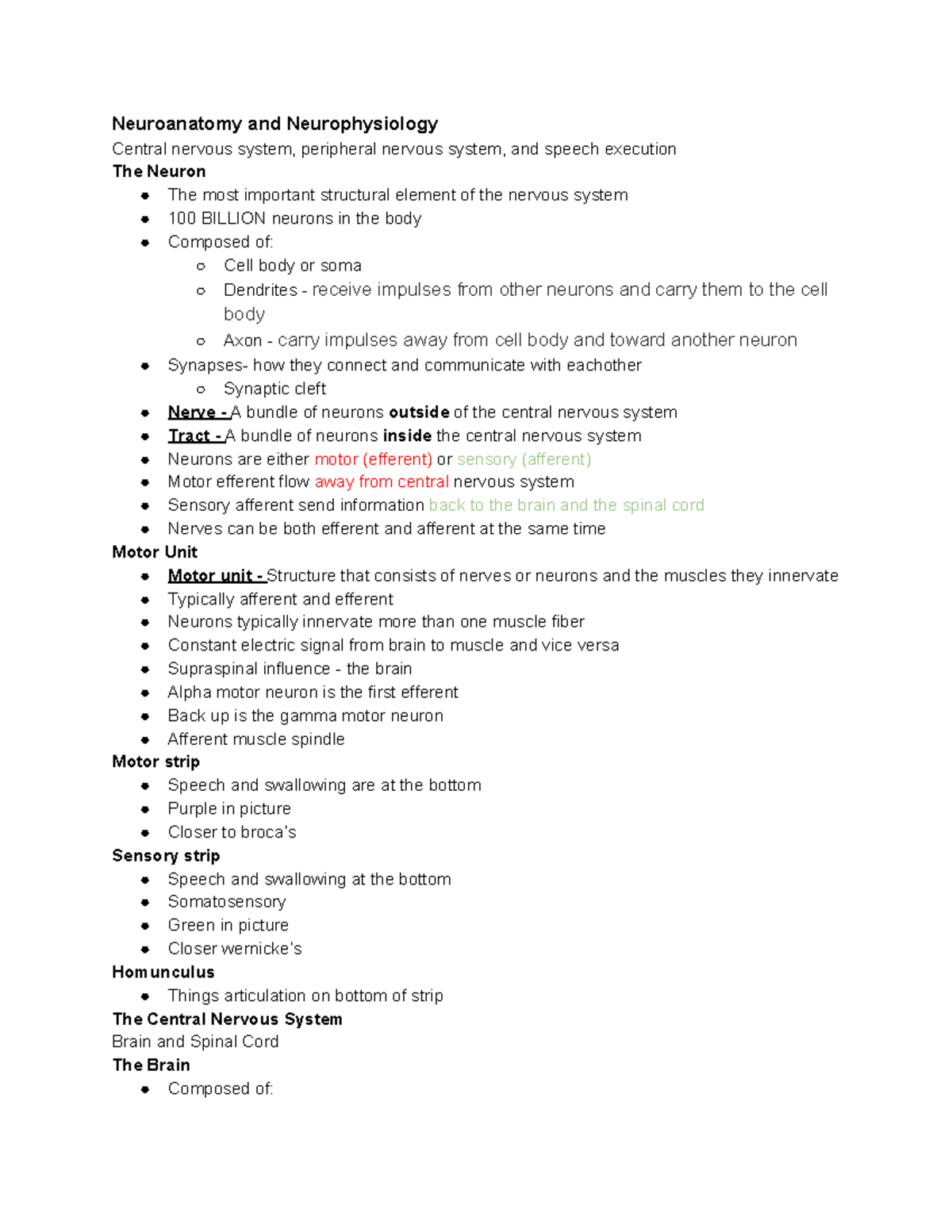 Neuroanatomy and Neurophysiology - Neuroanatomy and Neurophysiology ...