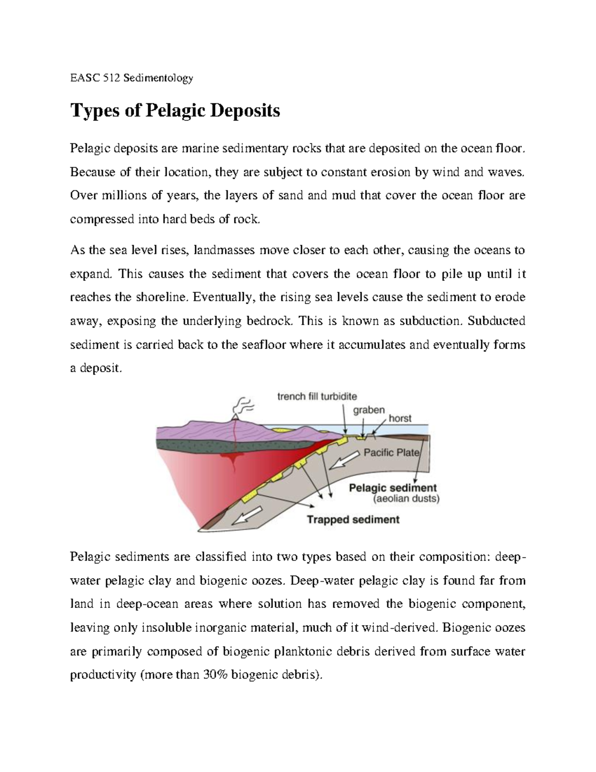 The types of pelagic sediments - EASC 512 Sedimentology Types of ...