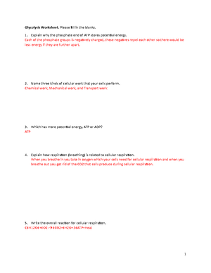 unit 2 skeletal system - Unit 2 Homework Chapter 7: The Skeletal System ...