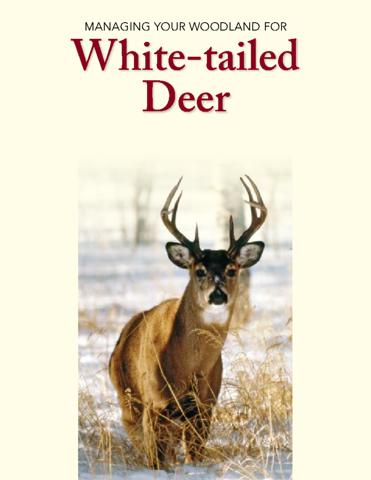 Behaviour of animals - White-tailed Deer MANAGING YOUR WOODLAND FOR ...