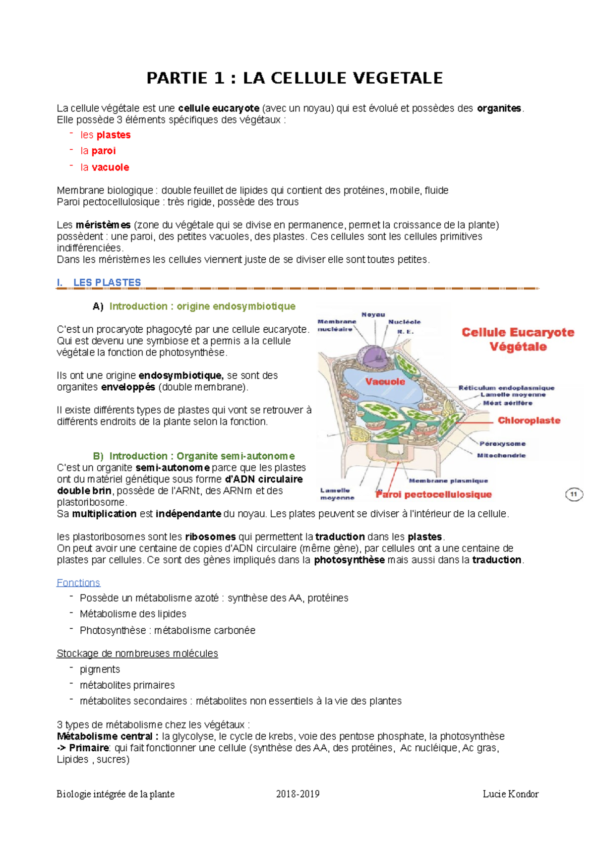 2. la cellule végétale - PARTIE 1 : LA CELLULE VEGETALE La cellule ...