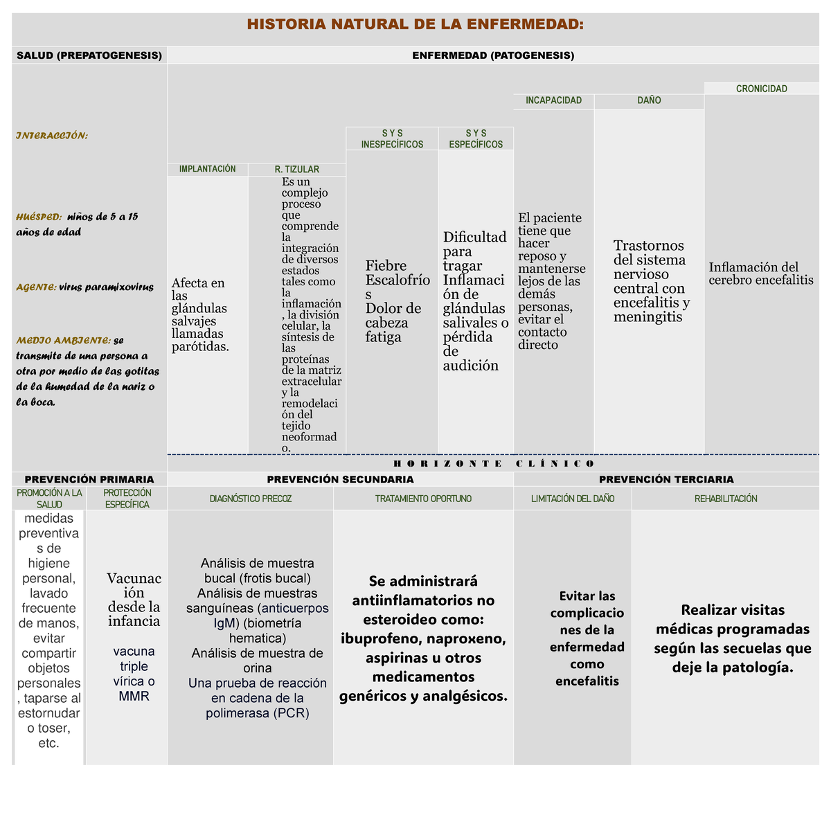 Cuadro paperas - HISTORIA NATURAL DE LA ENFERMEDAD: SALUD ...