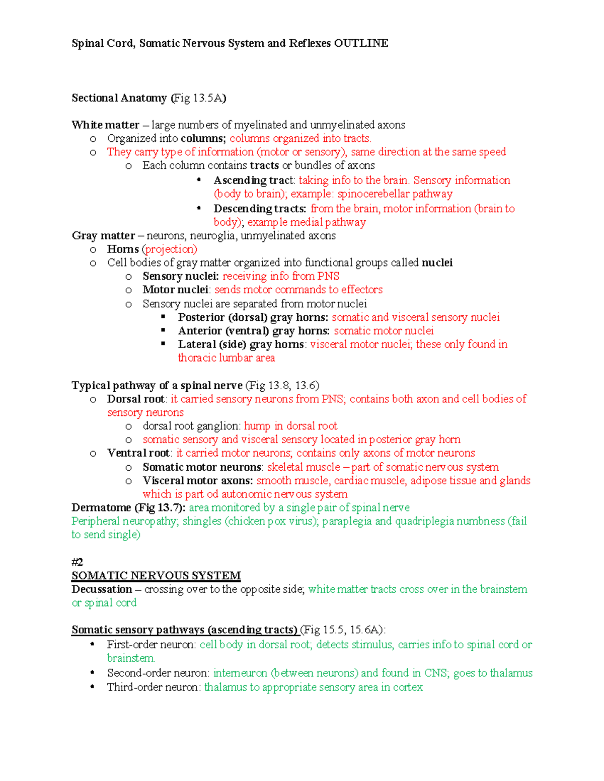 Spine Somatic NS and Reflexes - Spinal Cord, Somatic Nervous System and ...