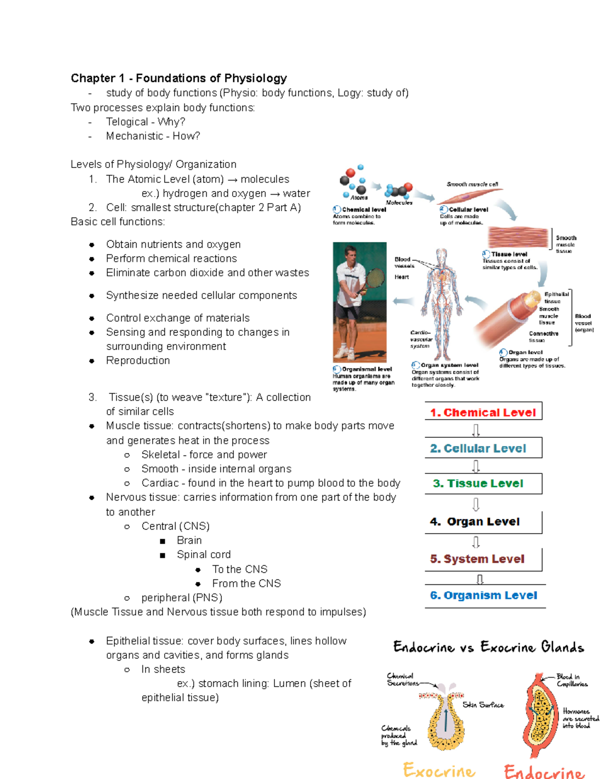 Physiology - Binthi Samuel - Chapter 1 - Foundations of Physiology ...