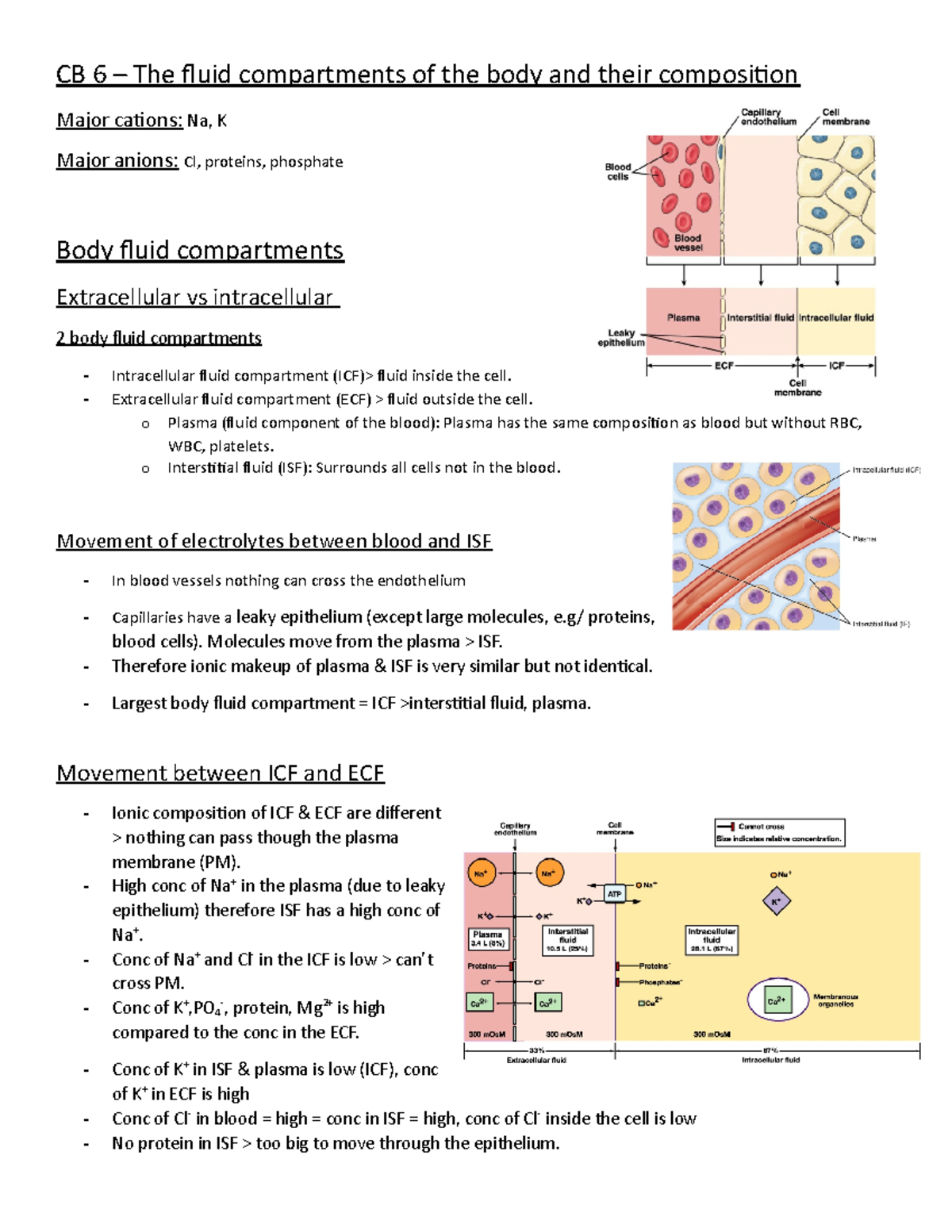 CMB1004 LECTURE 6 - CB 6 – The fluid compartments of the body and their ...