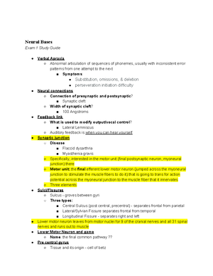 Neural Bases- Intro TO Human Nervous System - Introduction to the Human ...