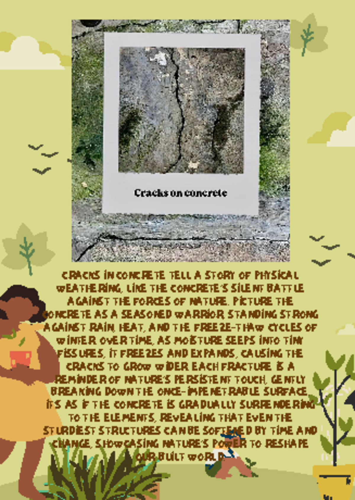 Reforestation - CRACKS IN CONCRETE TELL A STORY OF PHYSICAL WEATHERING ...