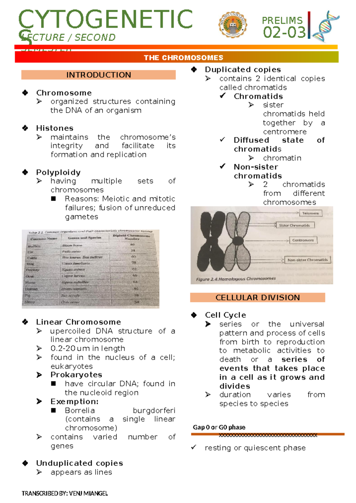 Cytogenetics - MLSP - CYTOGENETIC S LECTURE / SECOND SEMESTER PRELIMS ...