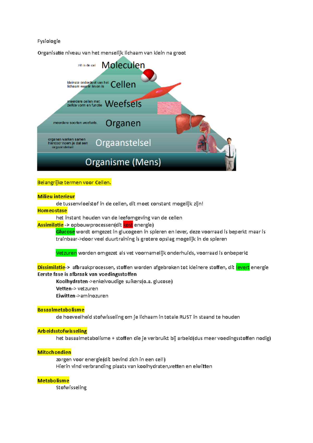 Fysiologie - Fysiologie Organisatie niveau van het menselijk lichaam ...