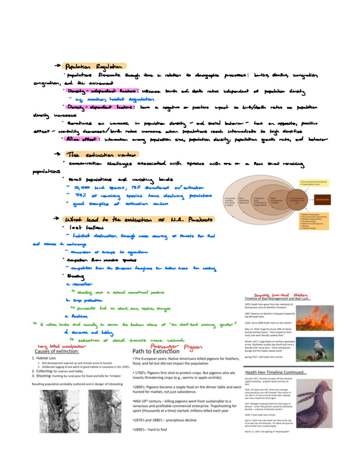 Lec 12 - population regulation - NR 300 - Studocu