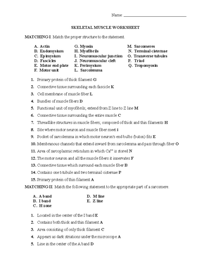 Worksheet 4 (Cardiovascular) - Name: CARDIOVASCULAR WORKSHEET MATCHING ...