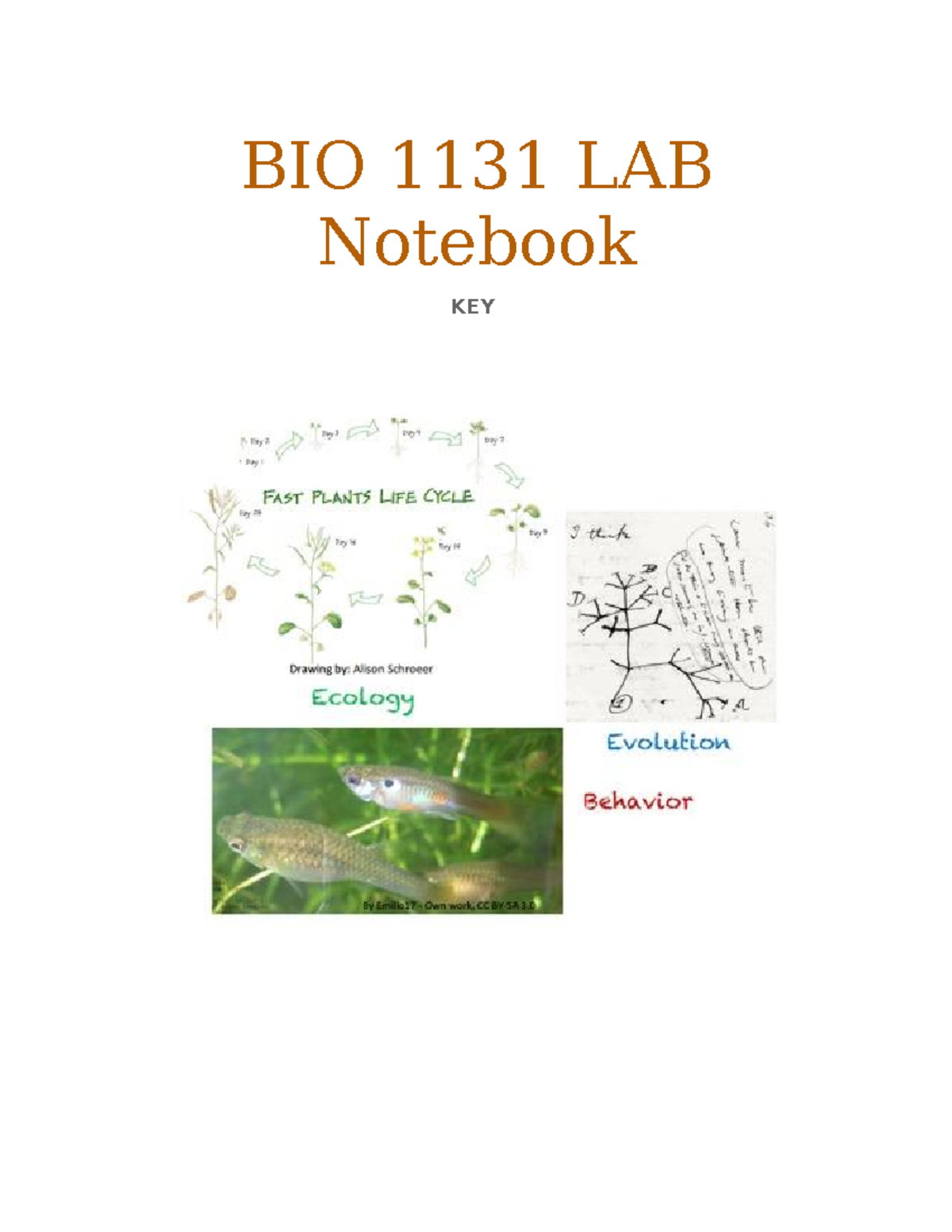 BIO1131Student Lab Notebook 1-7-2 Kiersten Mills - BIO 1131 LAB Notebook KEY {your name} {your ...