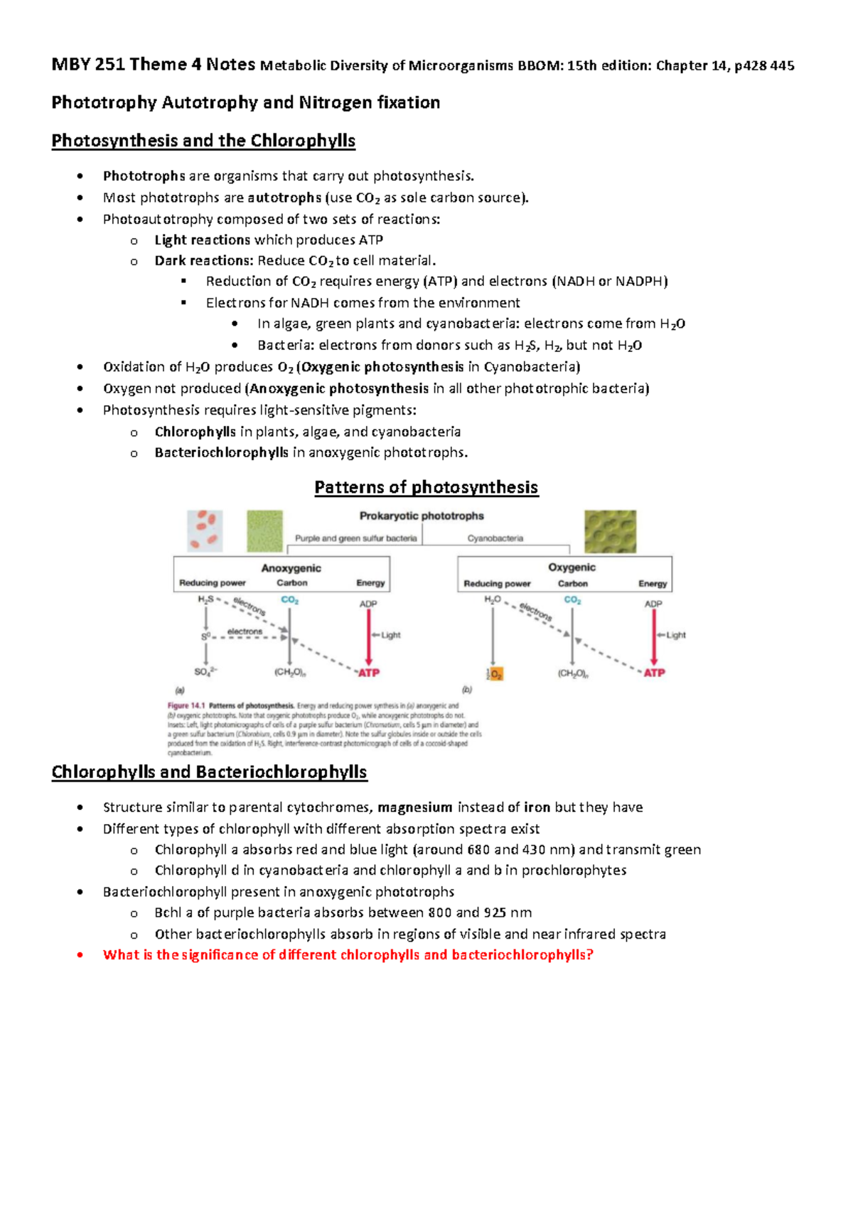 MBY 251 Theme 4 Notes - Summary Bacteriology - MBY 251 Theme 4 Notes ...