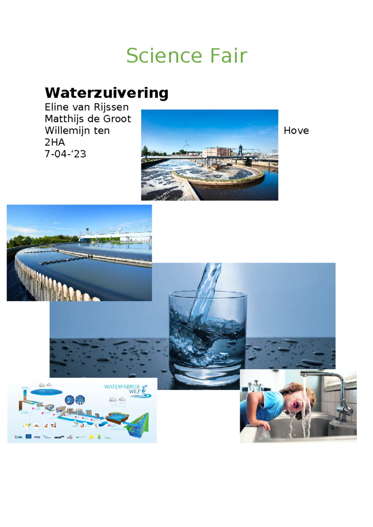 Bio science fair - Verslag over menselijk lichaam - Science Fair ...