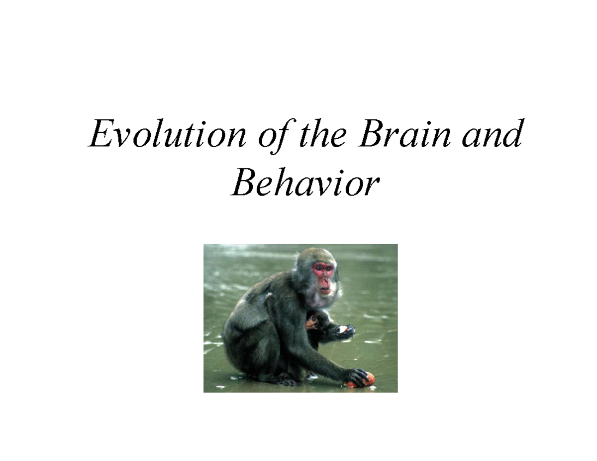Lecture 6. Evolution - Evolution of the Brain and Behavior Why Study ...