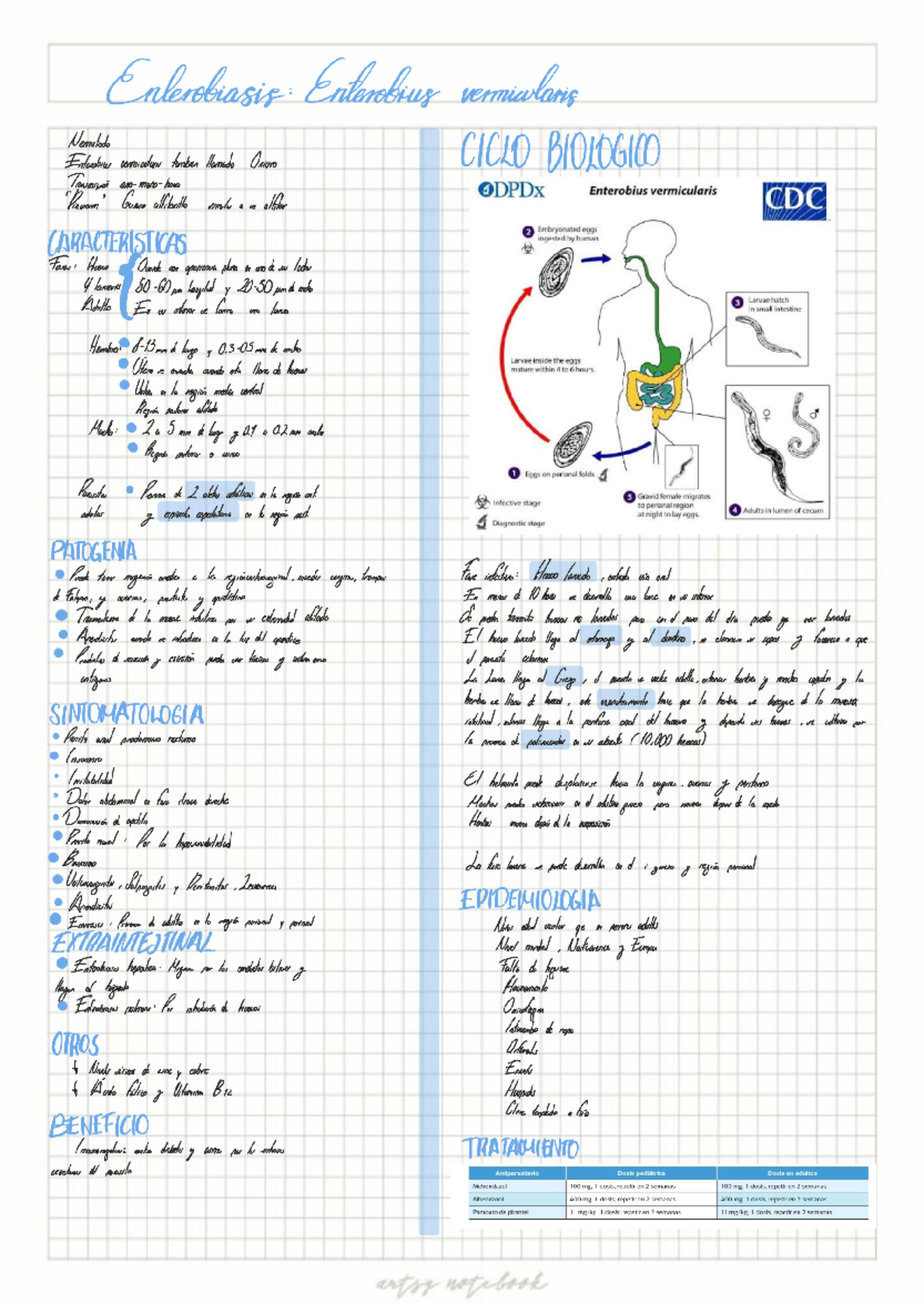 Enterobiasis Enterobius vermicularis - Microbiología - Studocu