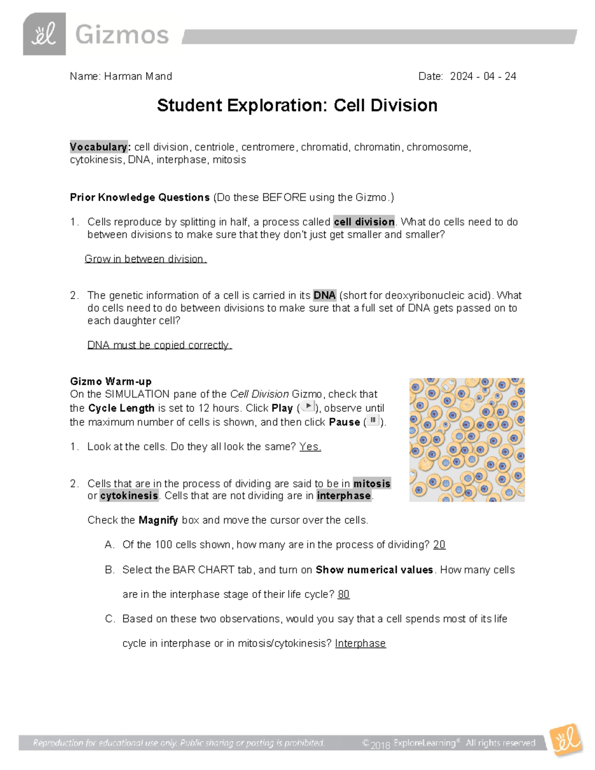 2.4 Cell Division Gizmo - Name: Harman Mand Date: 2024 - 04 - 24 ...