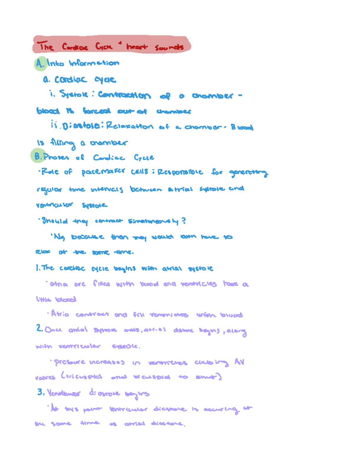 Anatomy worksheet - The Cardiac Cycle heart sounds A Intro Information ...