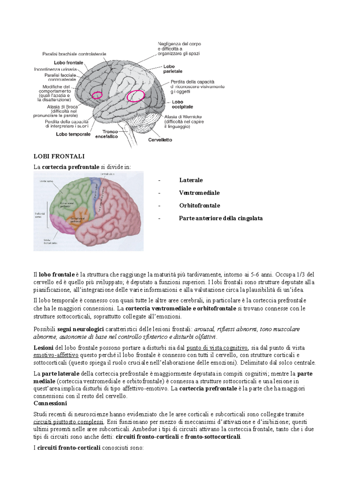 LOBI Frontali - Appunti presi a lezione - Fondamenti di neuropsicologia ...