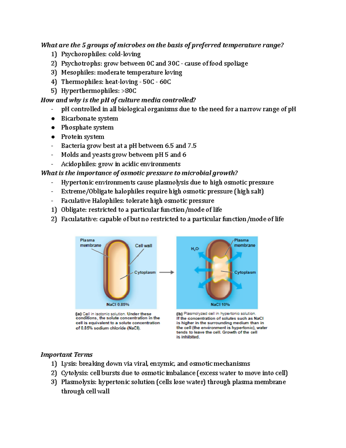 Chapter 6 Study Guide Micrbiology - What are the 5 groups of microbes ...