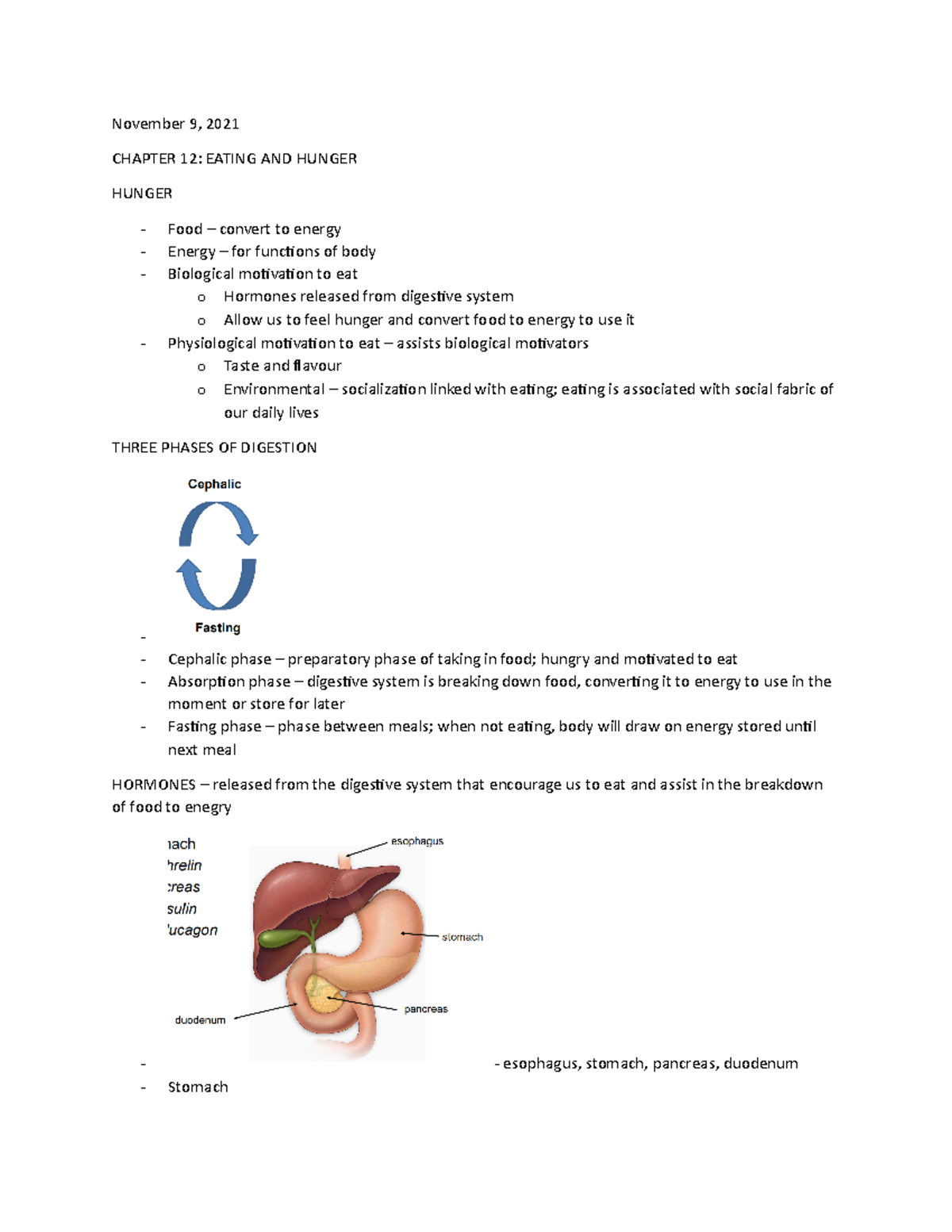 November 9 - eating and hunger, phases of digestion, hormones, limbic ...
