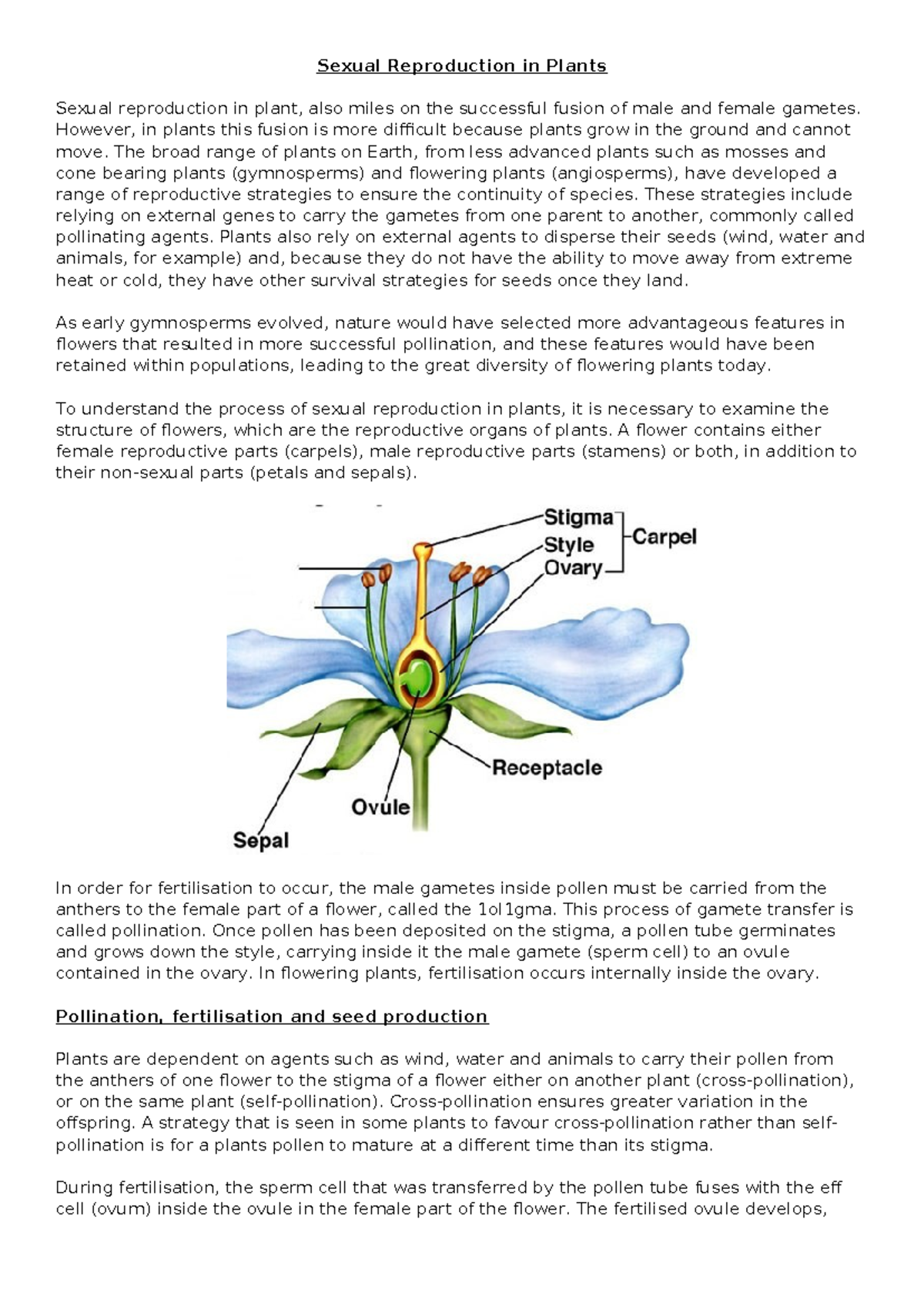 Sexual reproduction in plants - Sexual Reproduction in Plants Sexual ...