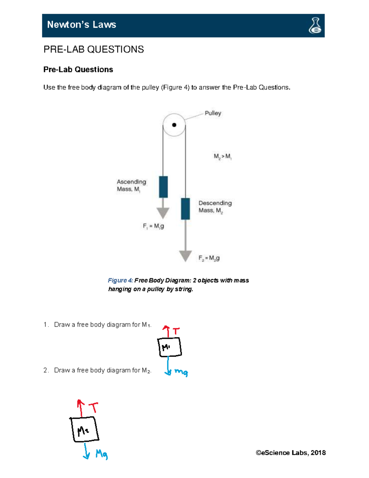 Newtons Laws Lab 6 - PRE-LAB QUESTIONS Pre-Lab Questions Use the free ...