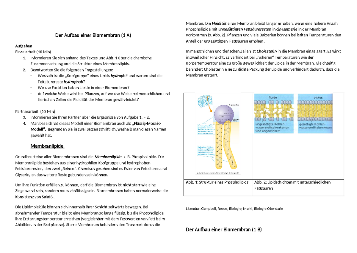 AB Biomembran - yuiyui - Der Aufbau einer Biomembran (1 A) Aufgaben ...