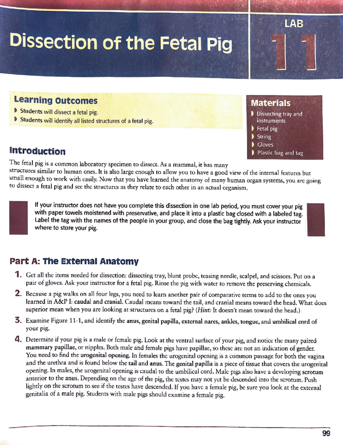 Adobe Scan Nov 18, 2021 - This will help students in anatomy and ...