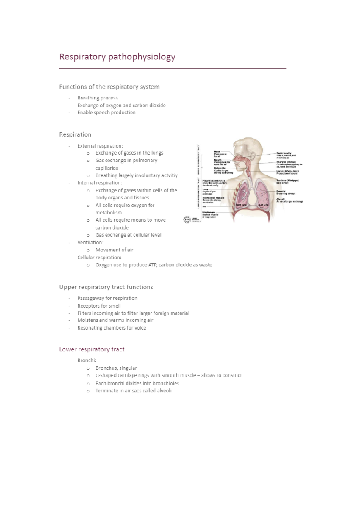 Respiratory pathophysiology - MEDO512 - Studocu