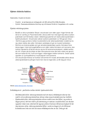 Cellens uppbyggnad och funktion - Cellens uppbyggnad och funktion ...