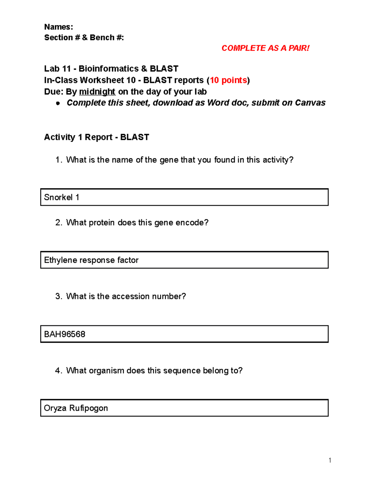 Copy of In-Class Worksheet 10 - Blast - Section # & Bench #: COMPLETE ...