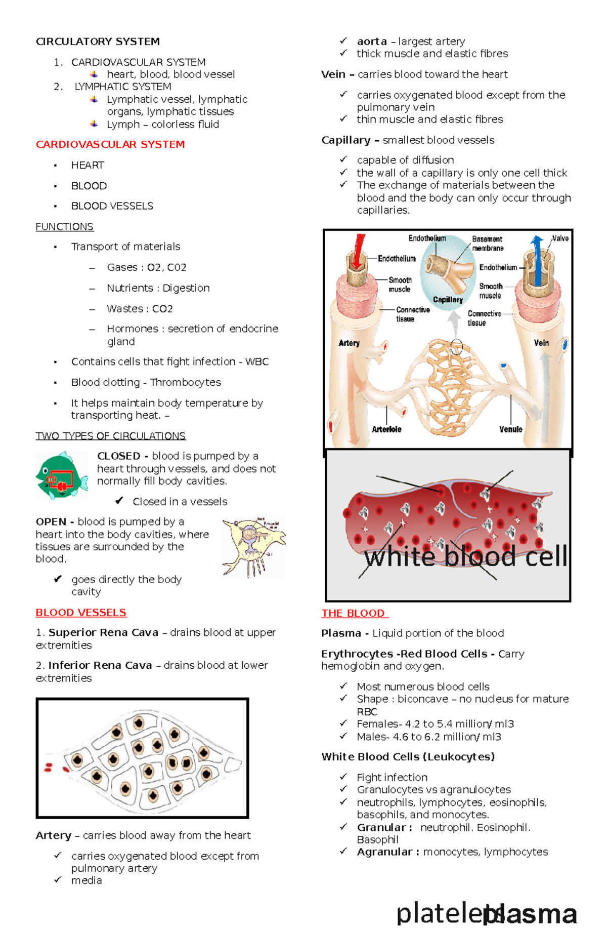 Circulatory System - CIRCULATORY SYSTEM 1. CARDIOVASCULAR SYSTEM heart ...