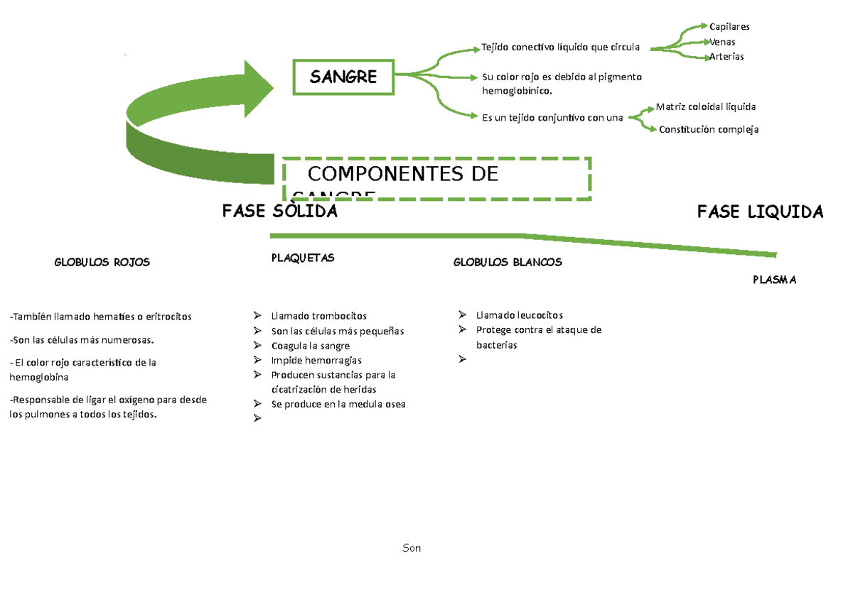 Mapa conceptual - Matriz coloidal liquida Constitución compleja ...